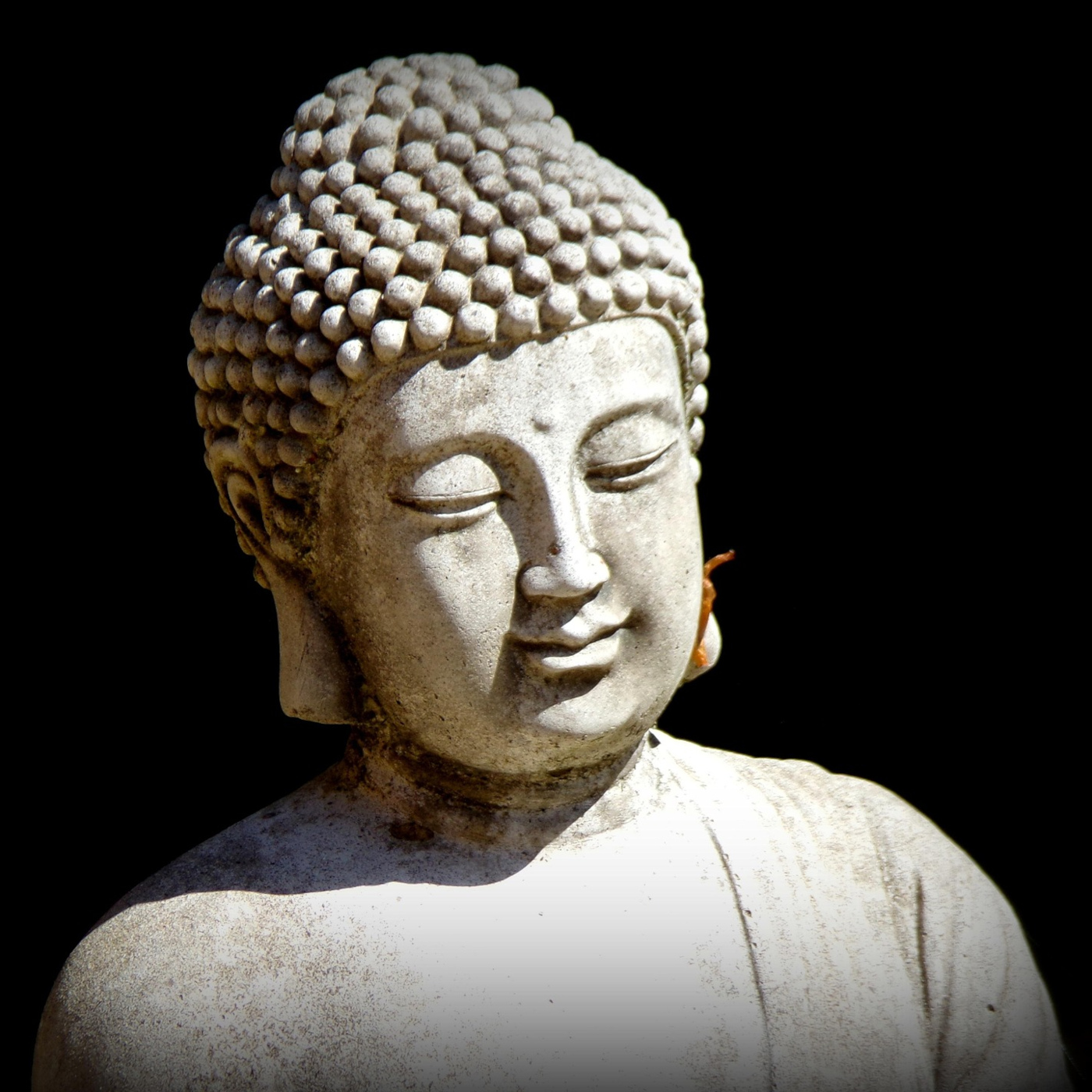 295 - The Power of Equanimity - The Zen Studies Podcast