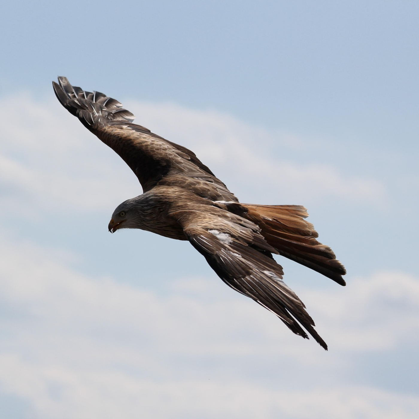 300 - One Reality, Many Descriptions Part 5: Trikaya, the Three Bodies ...