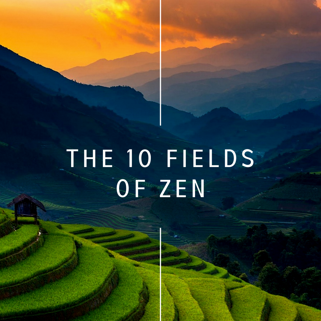313 – Ten Fields of Zen, Field 7 – Learning the Self: This Very Body Is Buddha (3 of 3) - The ...